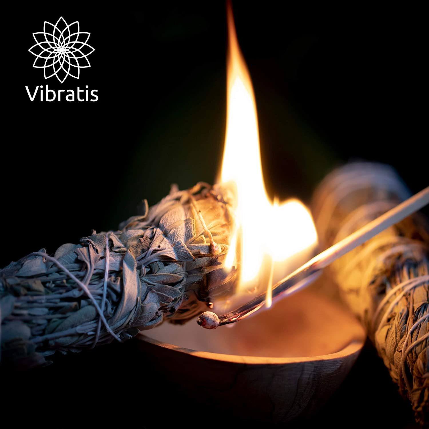 La Sauge Blanche et ses Extraordinaires Vertus et Propriétés | Vibratis