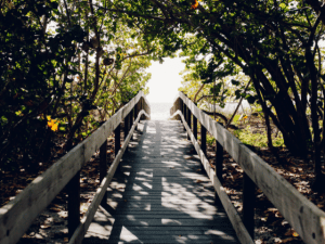 Chemin de vie 1 en Numérologie : Significations, Caractéristiques ...