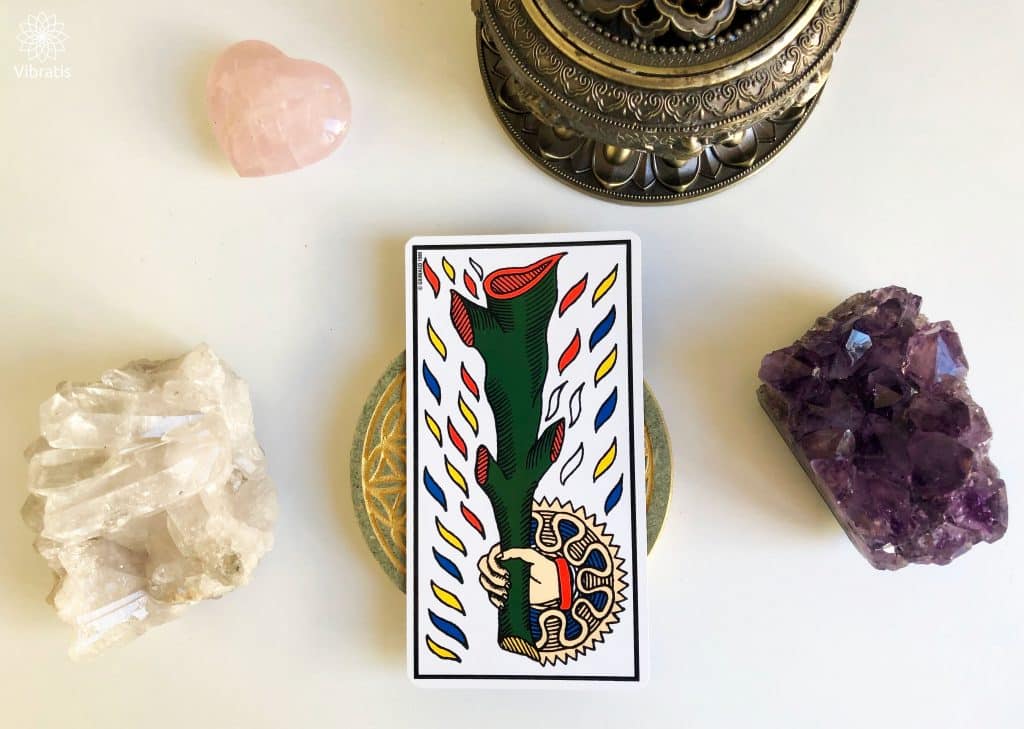 Signification de l'As de Bâton dans le Tarot de Marseille
