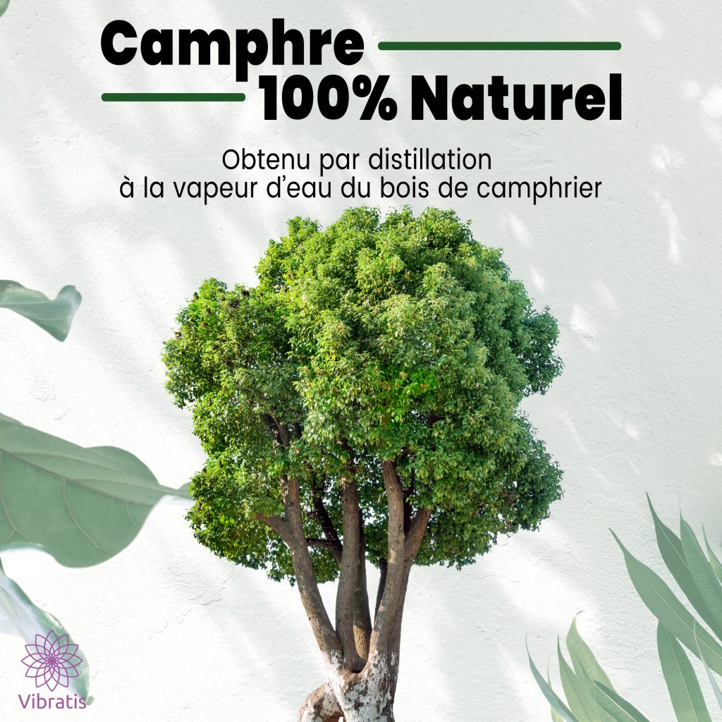 Camphre Naturel en Morceaux 100g - Anti-Mites et Purificateur