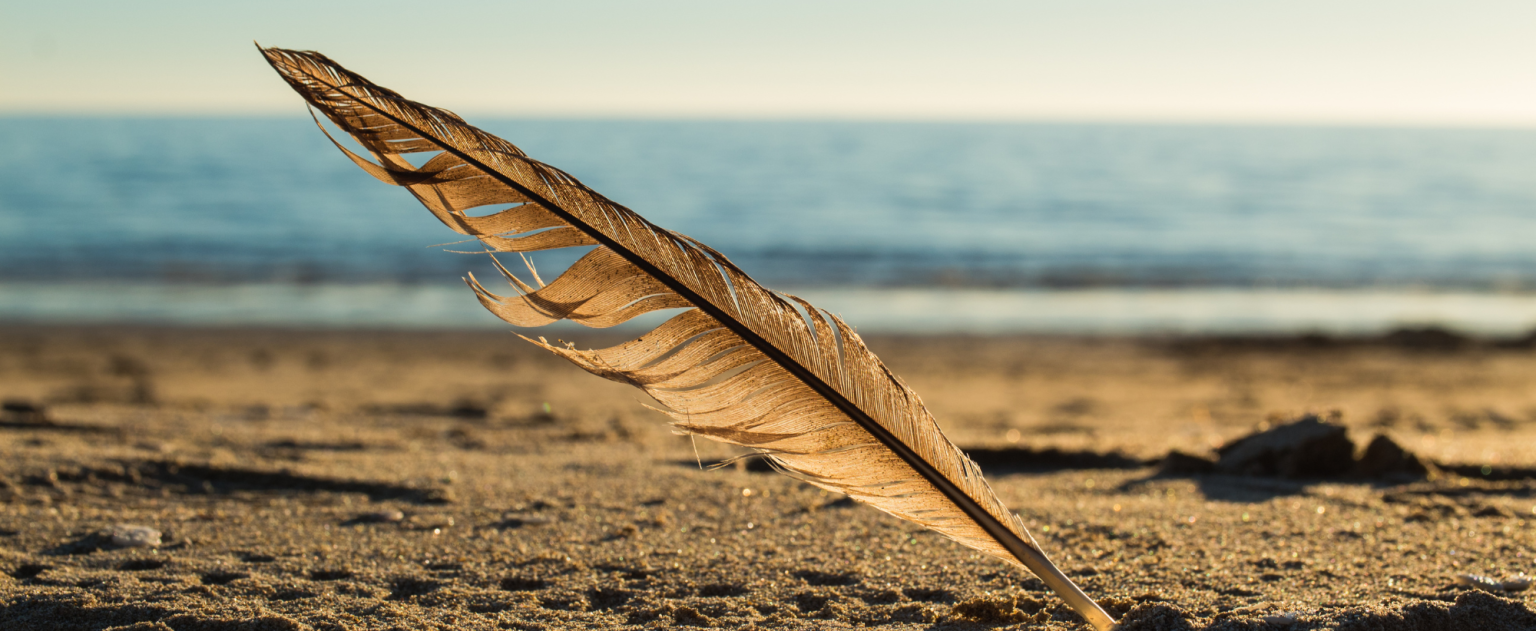 La Plume Marron : Symbolismes et Significations