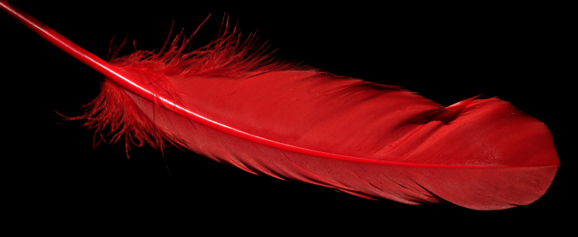 La Plume Rouge : Symbolismes et Significations